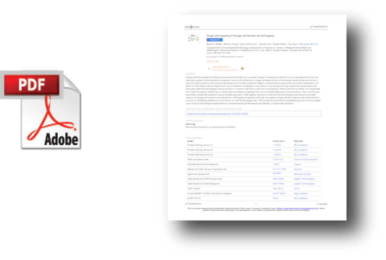 Protocols and Data | Samantha Morris Lab