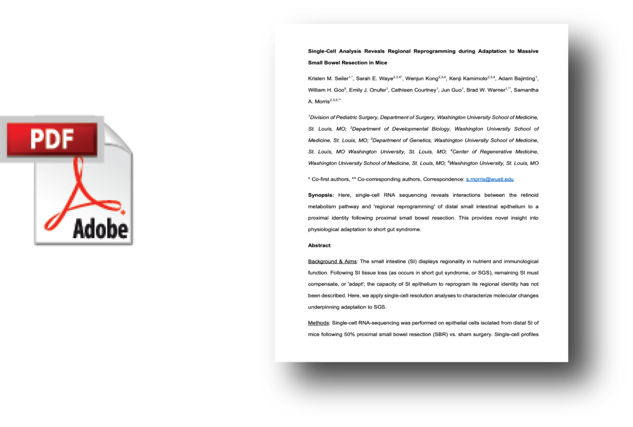 Publications | Samantha Morris Lab