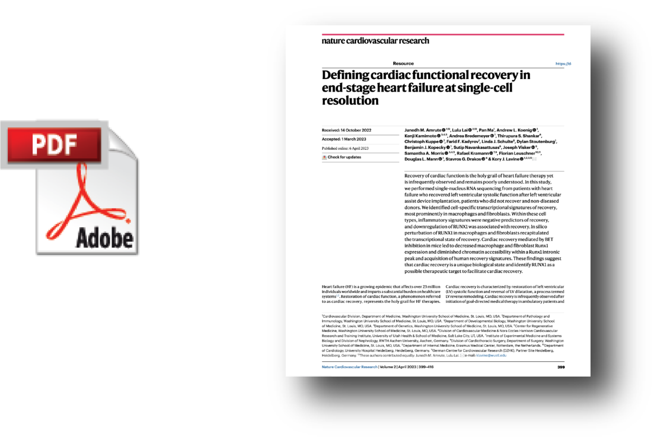 Publications | Samantha Morris Lab
