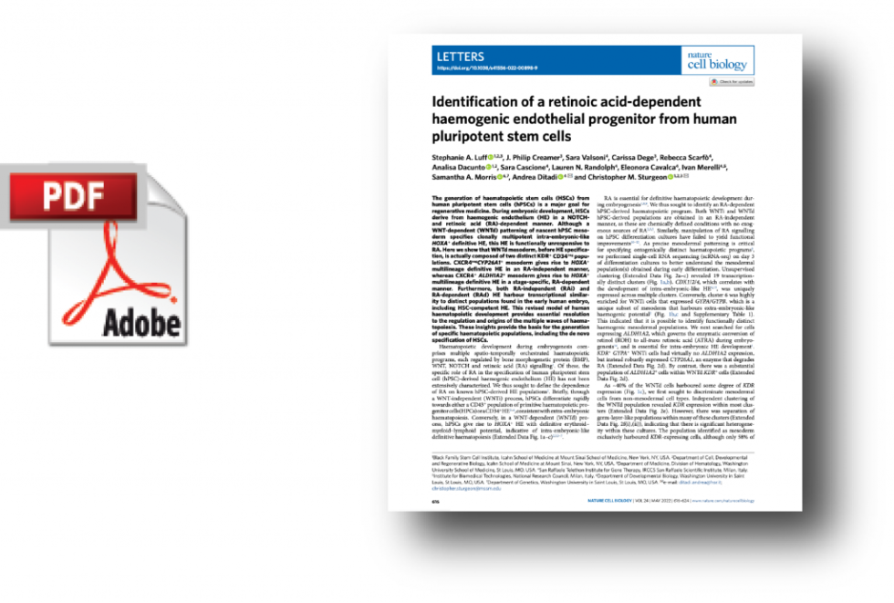 Publications | Samantha Morris Lab