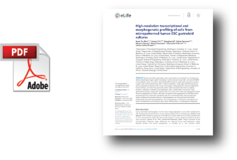 Publications | Samantha Morris Lab